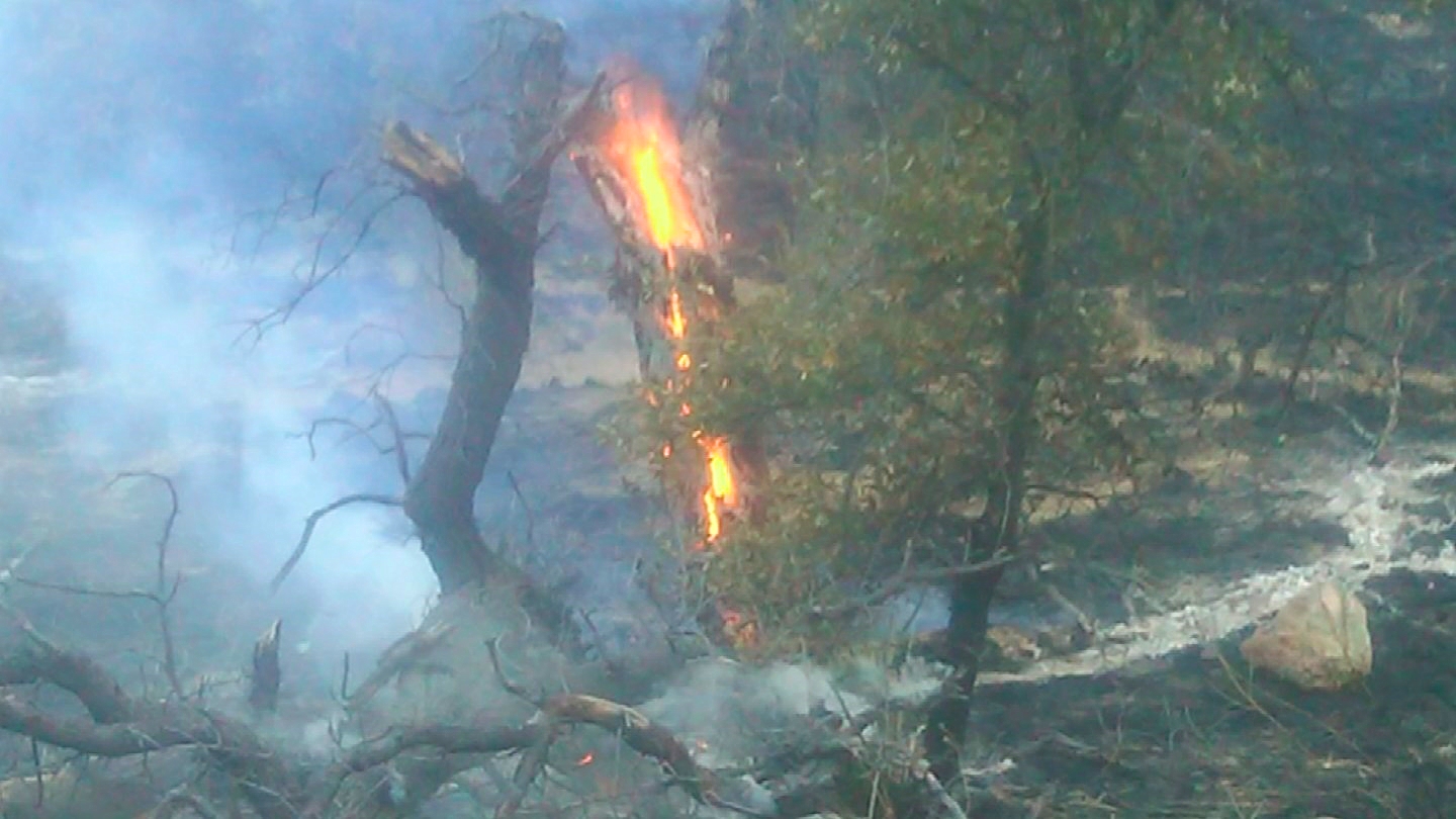 Border ranchers besieged by wildfires set by illegals seek relief in ...