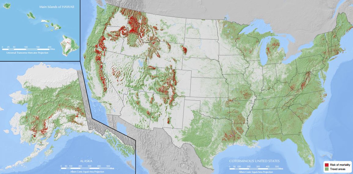 Forestry 101: Log it, thin it, or watch it burn - Free Range Report